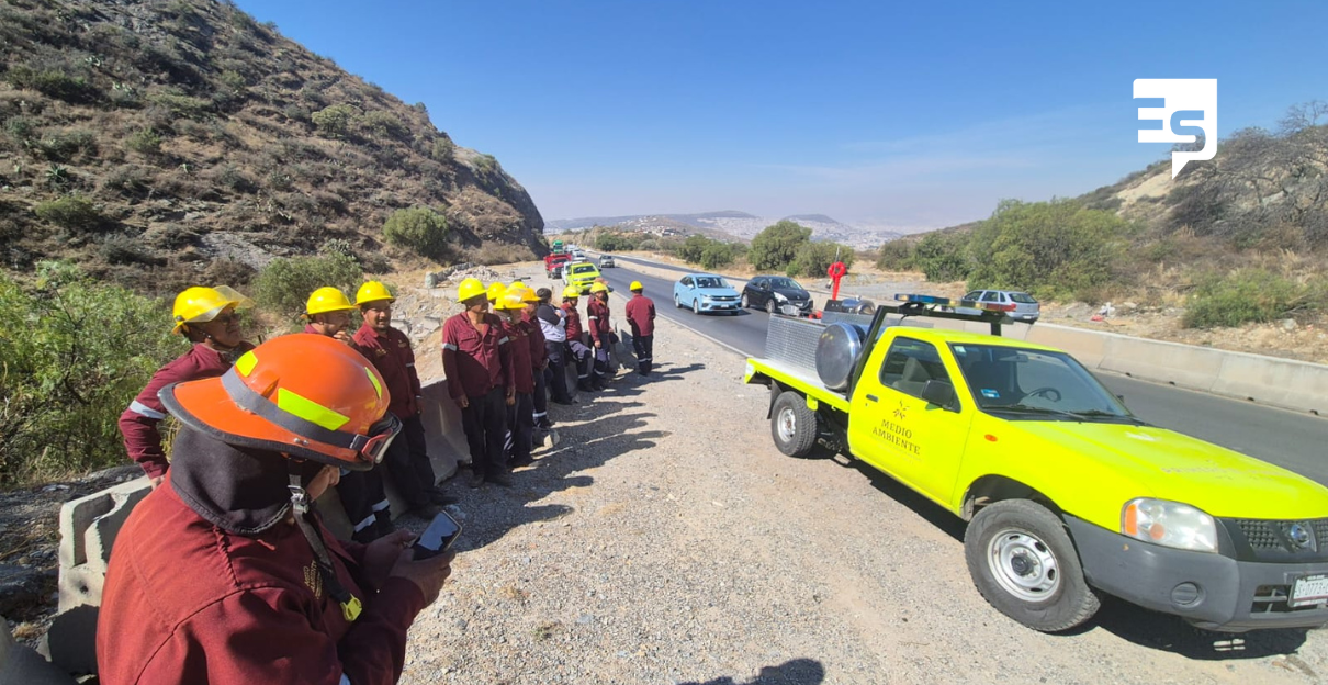 Brigadas de Semarnath recorren y protegen áreas naturales y bosques de ...