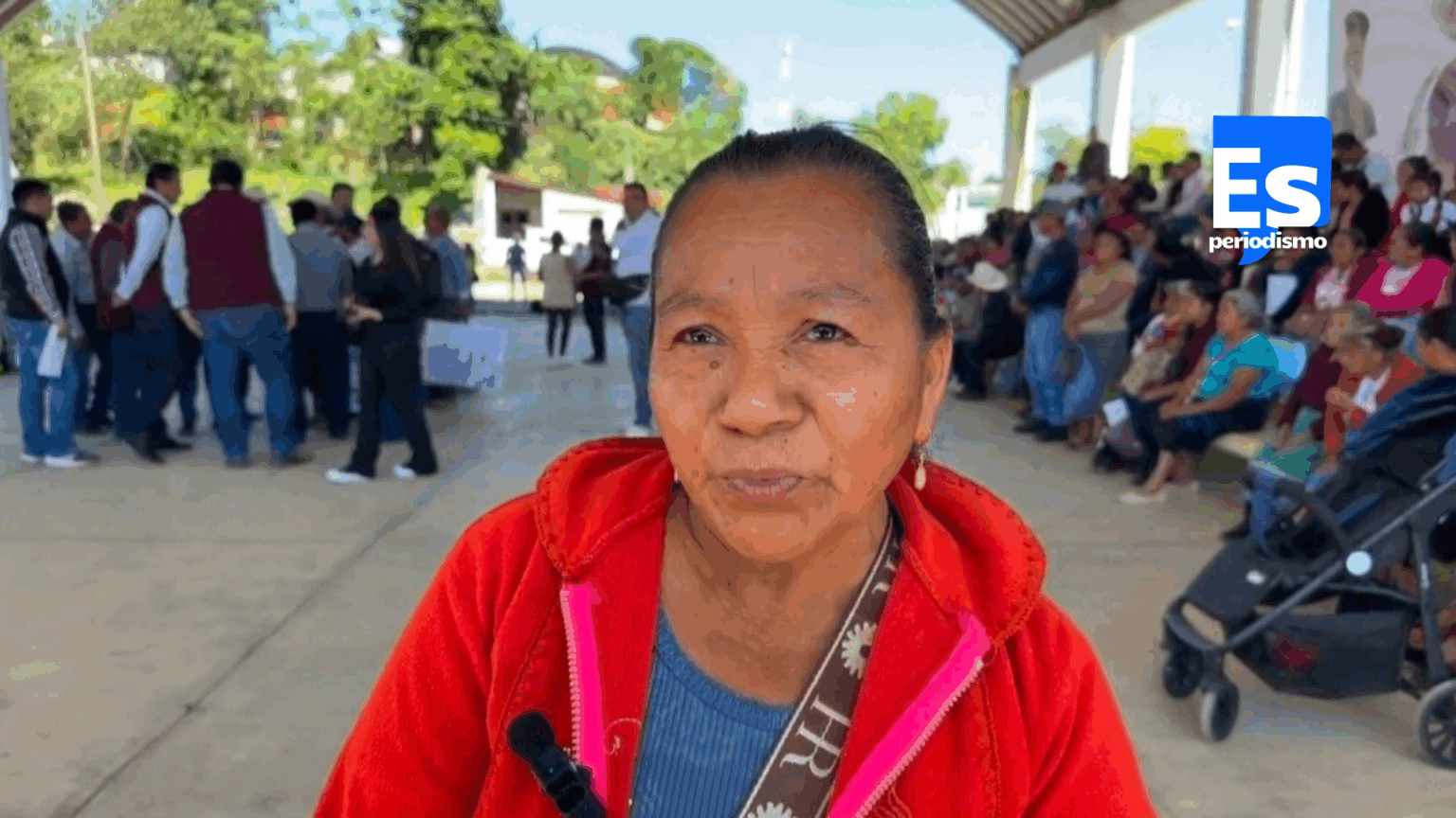 Fortalecen el sustento familiar de damnificados, con apoyos productivos ...