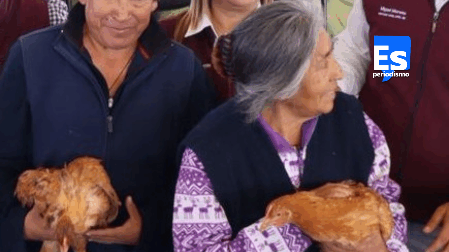 Fortalecen el sustento familiar de damnificados, con apoyos productivos ...