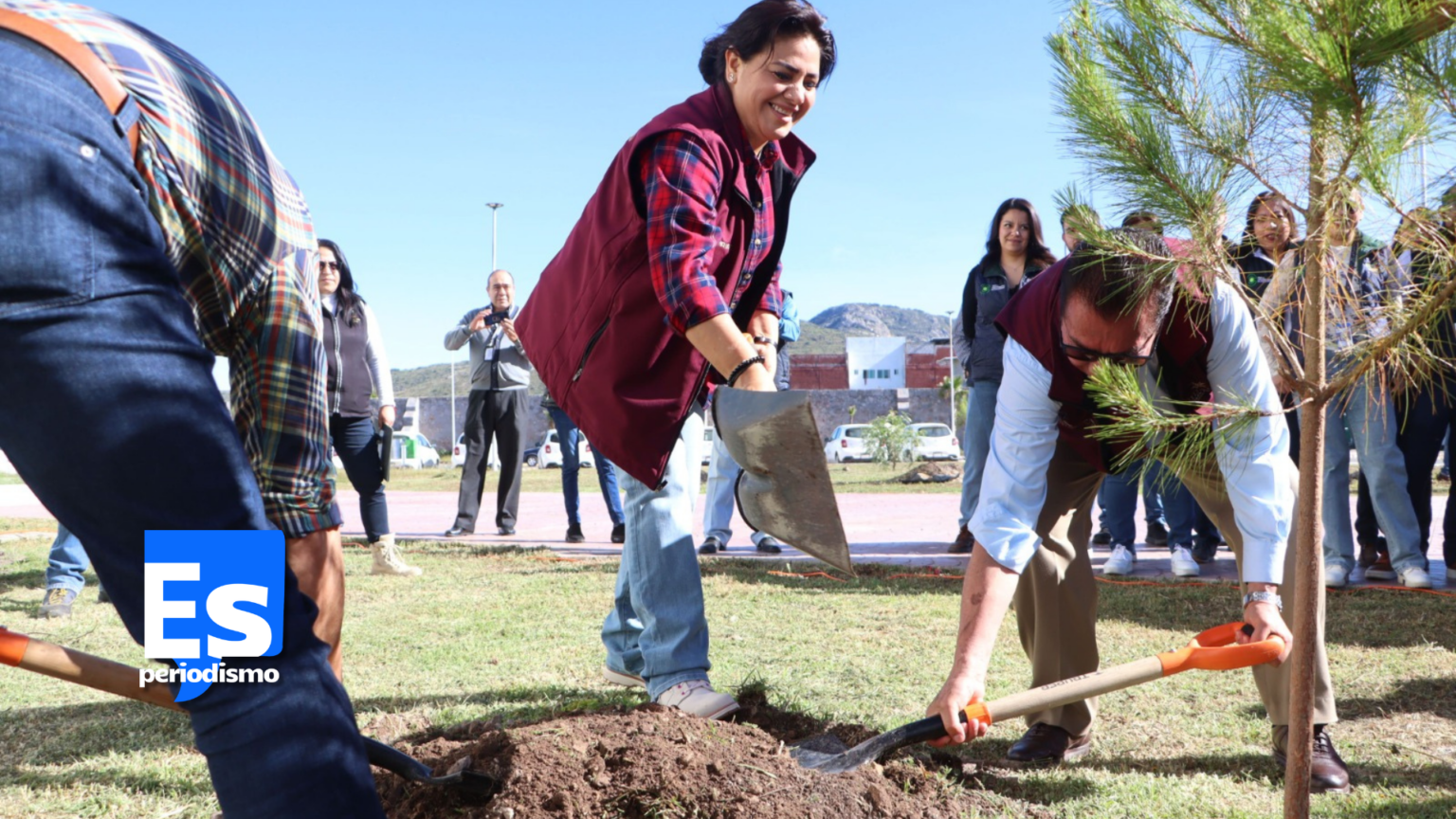Invitan a la población a donar semillas de especies nativas para ...